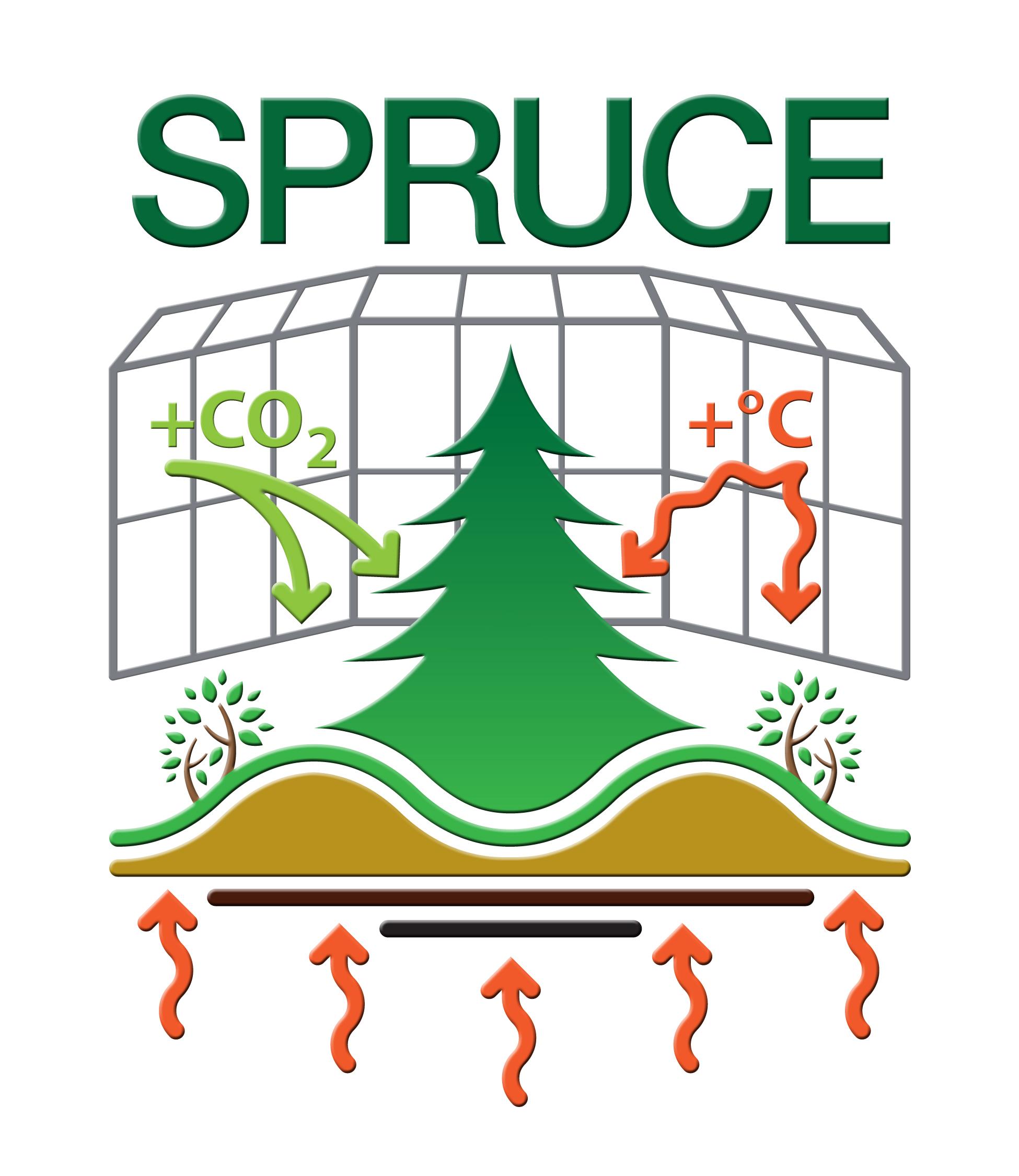 SPRUCE Logo | SPRUCE