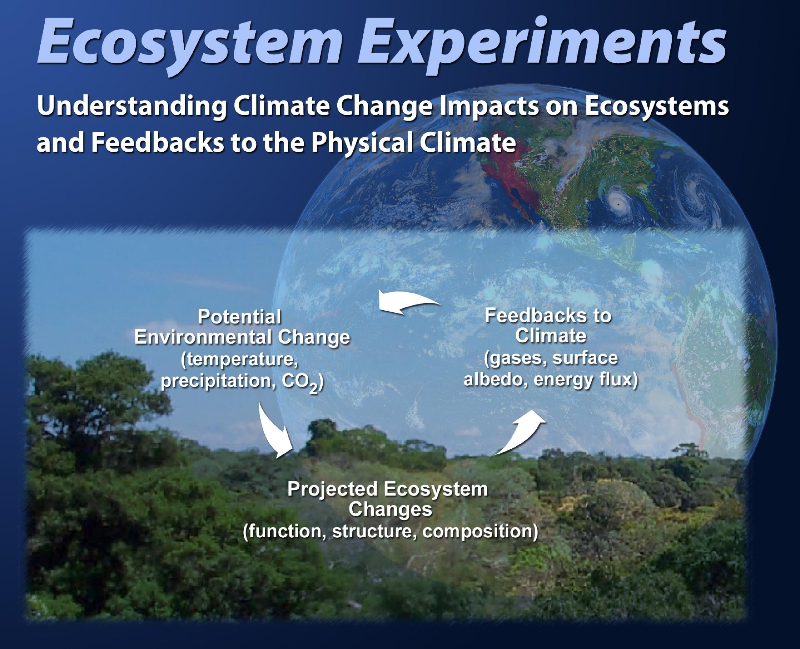 ESD Ecosystem Sciences Group | SPRUCE